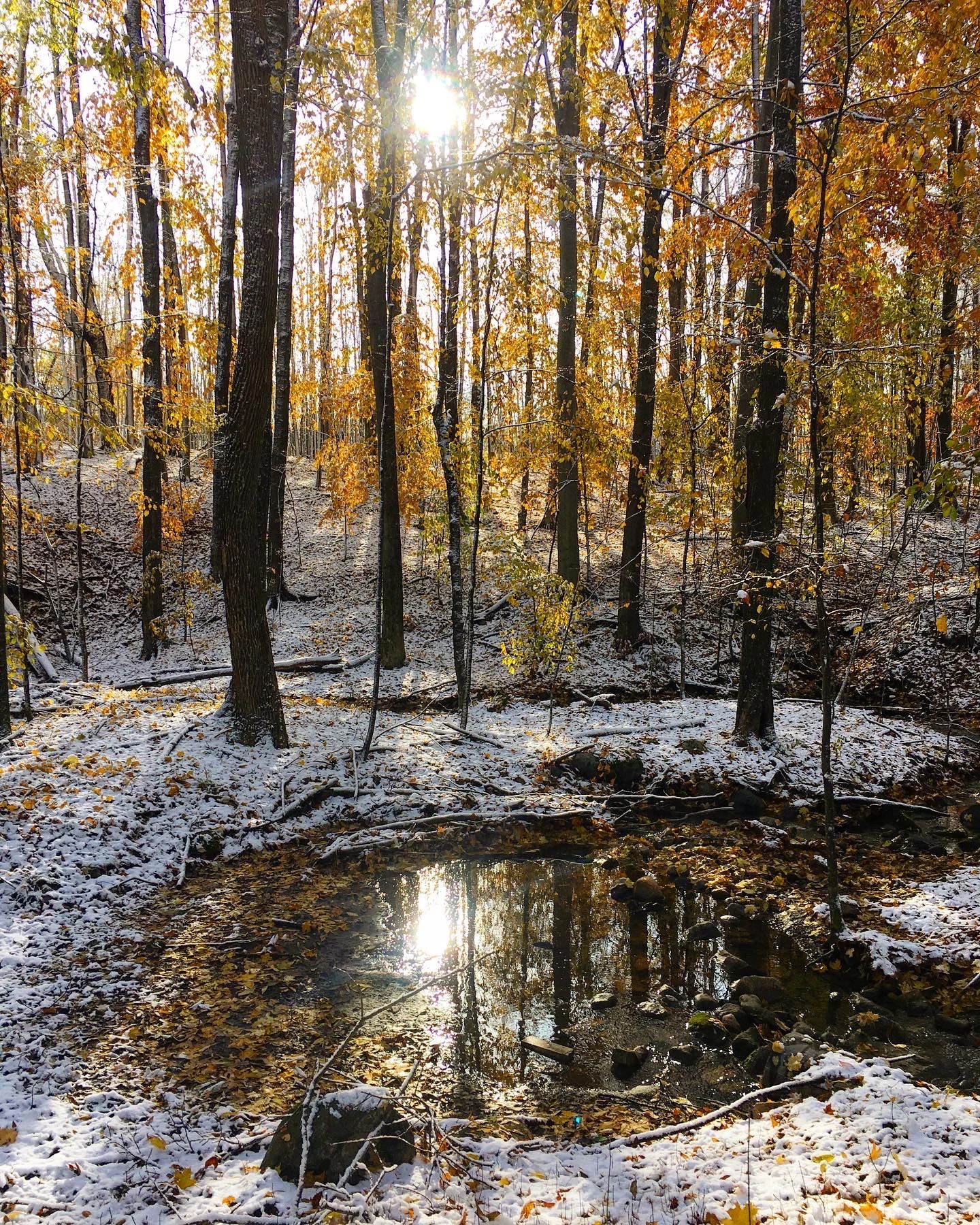 Big Rapids Gotion EV Megasite | EDRA of Michigan